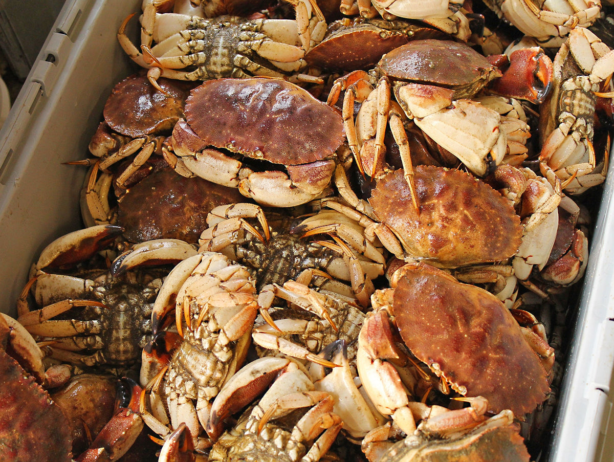 Crab – Fisherman's Market Seafood Outlet